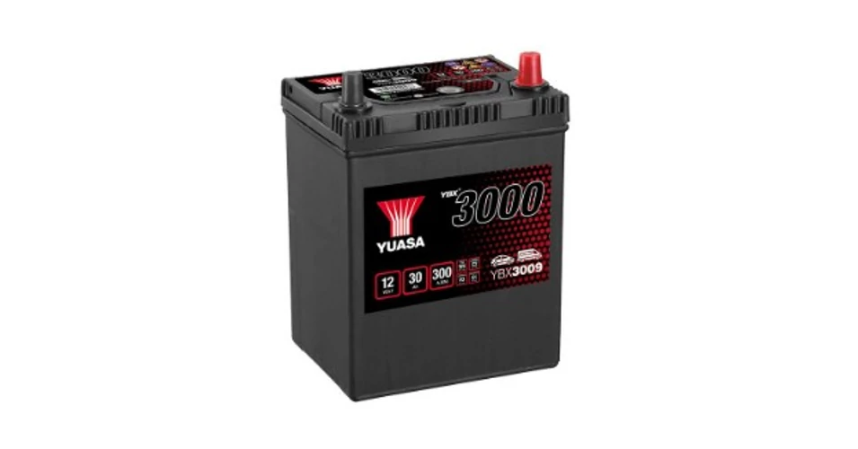 YBX3009